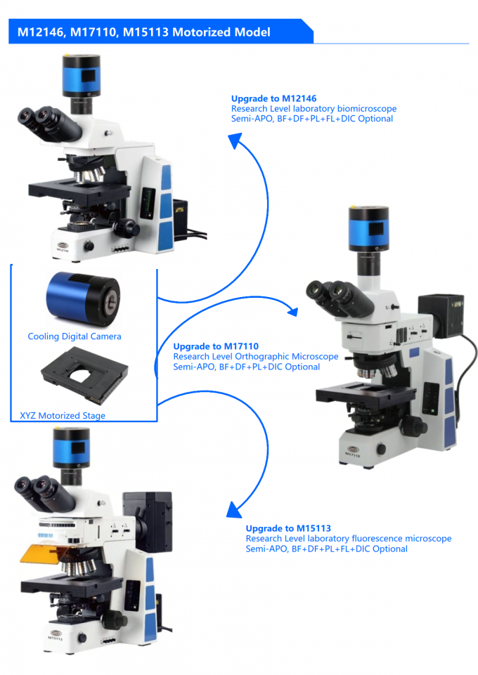 Research Level 3D Semi-Auto Laboratory biological microscope