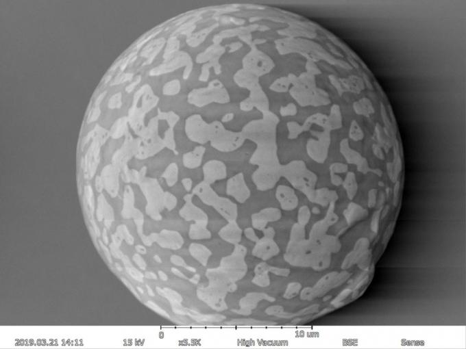 Magnification Max 150000X Scanning Electron Microscope 5nm Resolution ...