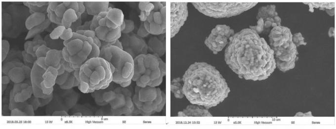 Magnification Max 150000X Scanning Electron Microscope 5nm Resolution ...