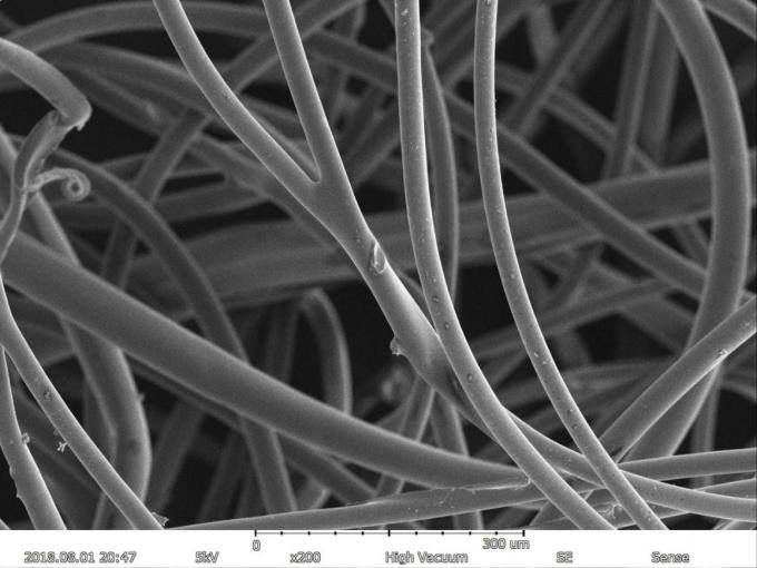 Magnification Max 150000X Scanning Electron Microscope 5nm Resolution ...