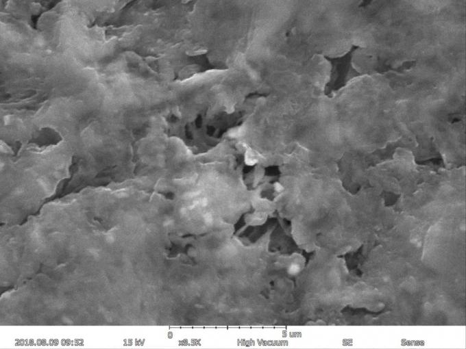 Magnification Max 150000X Scanning Electron Microscope 5nm Resolution EDS BSE