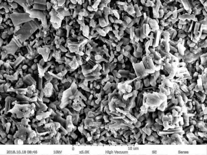 Magnification Max 150000X Scanning Electron Microscope 5nm Resolution ...