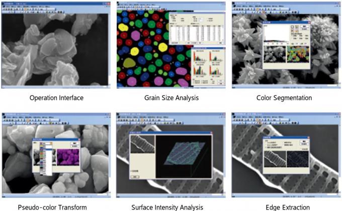 8X-300,000X Scanning Electron Microscope 3-6nm Resolution EBSD EBSD