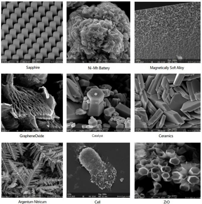 Magnification 8X-800000X Scanning Electron Microscope 1.5-3nm Resolution BSE